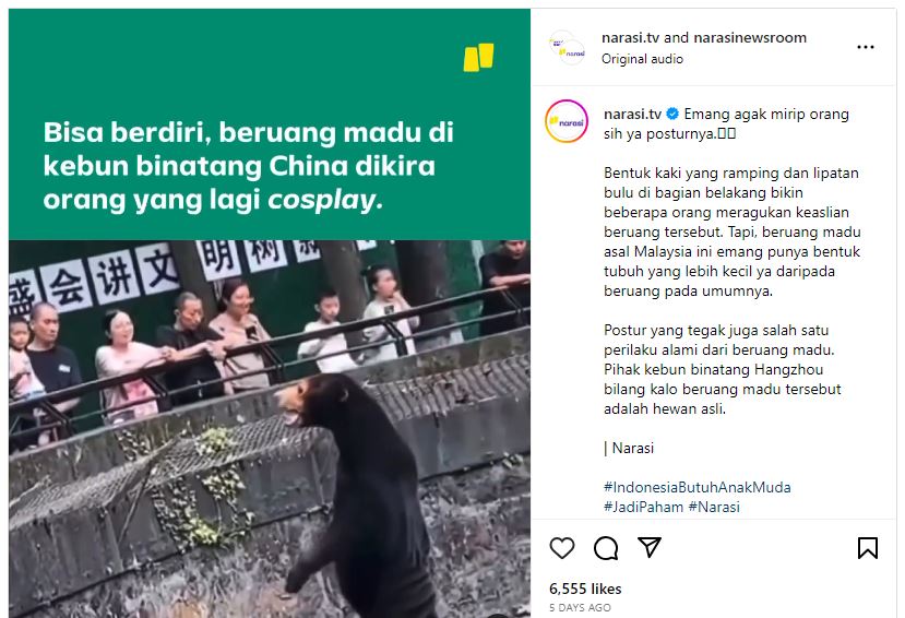 7 Contoh Konten Interaktif Instagram Terbaik & Mudah Diterapkan